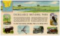 Florida Memory • Everglades National Park Postcard to Governor Millard ...