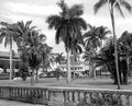 Florida Memory • View of the public areas at Hialeah Racetrack ...