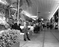Florida Memory • Interior of the Colonial Plaza Mall - Orlando, Florida.