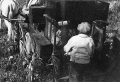 Florida Memory • Back of quail hunting wagon at Haywood Place - Leon County