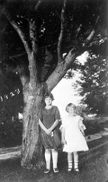 Florida Memory • Elizabeth and Lillian Turner.