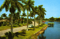 Florida Memory • Road along river in Florida.